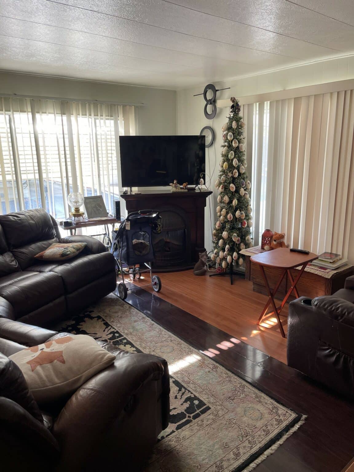 HomeShare Listings - Elderhelp