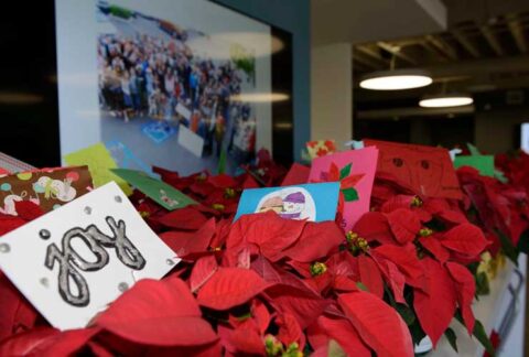 Angels for All - Elderhelp